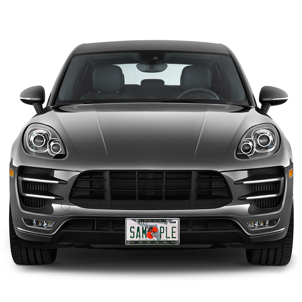 Metal License Plate Frame Vinyl Insert Green Lizard with Long Tail | eBay